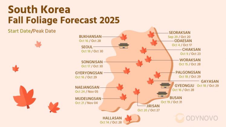 Jeju fall foliage forecast 2025 — The time & 6+ best places to visit ...