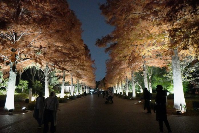 What to do in Osaka in November? 15+ top things to do & best places to ...