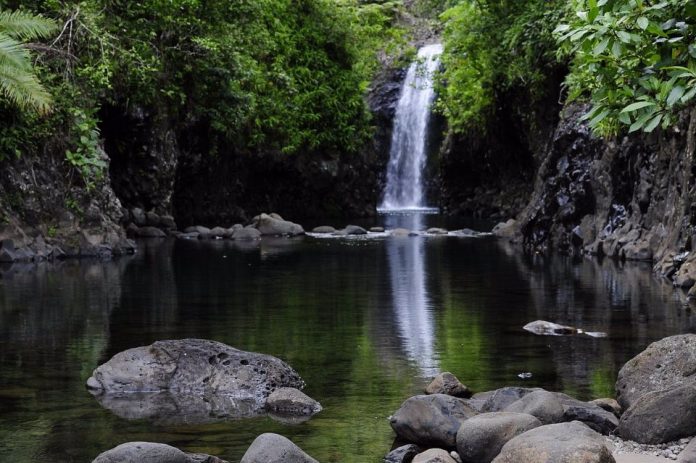 Where to go in Fiji? 15+ must-see & best places to visit in Fiji ...