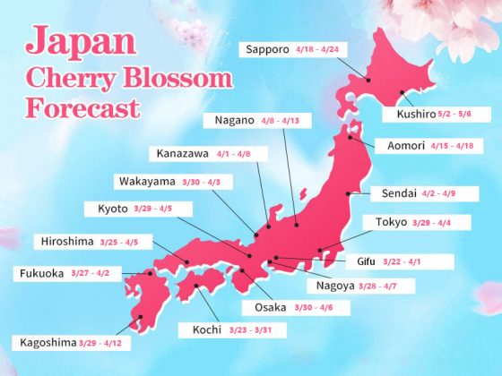 What is Hanami in Japan? The meaning & 9+ best places for Hanami in ...