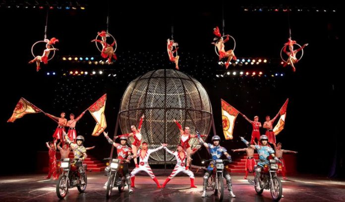 shanghai circus - Living + Nomads – Travel tips, Guides, News ...