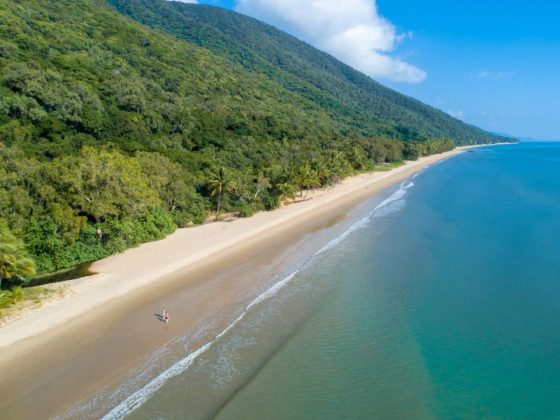 Cairns best beaches. 9+ most beautiful & best beaches in Cairns and ...
