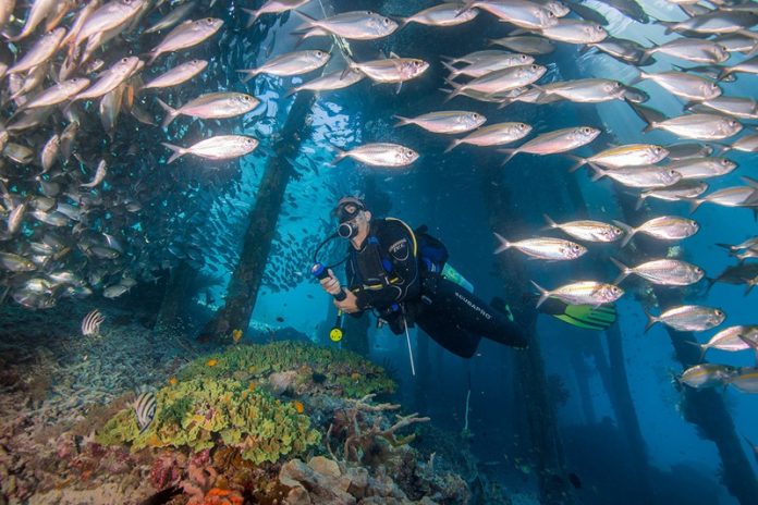 Raja Ampat travel blog: The fullest guide to discover Indonesia's ...