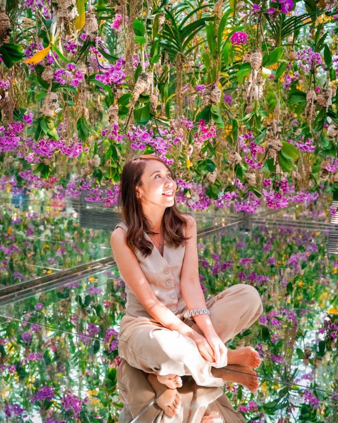 Teamlab Planets Tokyo Review: The Experience That Shakeups Social Media ...