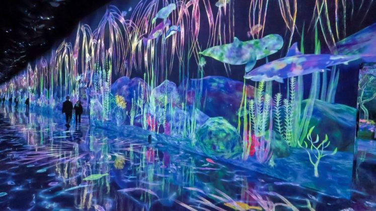 Teamlab Planets Tokyo Review: The Experience That Shakeups Social Media ...