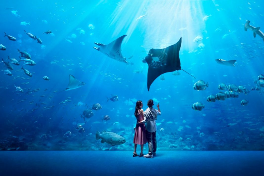 Singapore Oceanarium review: Your Gateway to the Magical Ocean - Living ...