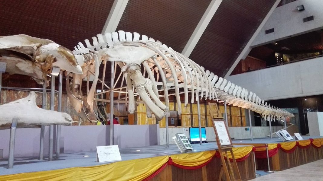 Sabah Museum - Living + Nomads – Travel tips, Guides, News & Information!