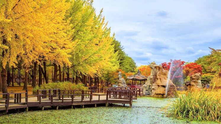 Nami Island in autumn 2025: Best time to visit, How to get there, Tips ...
